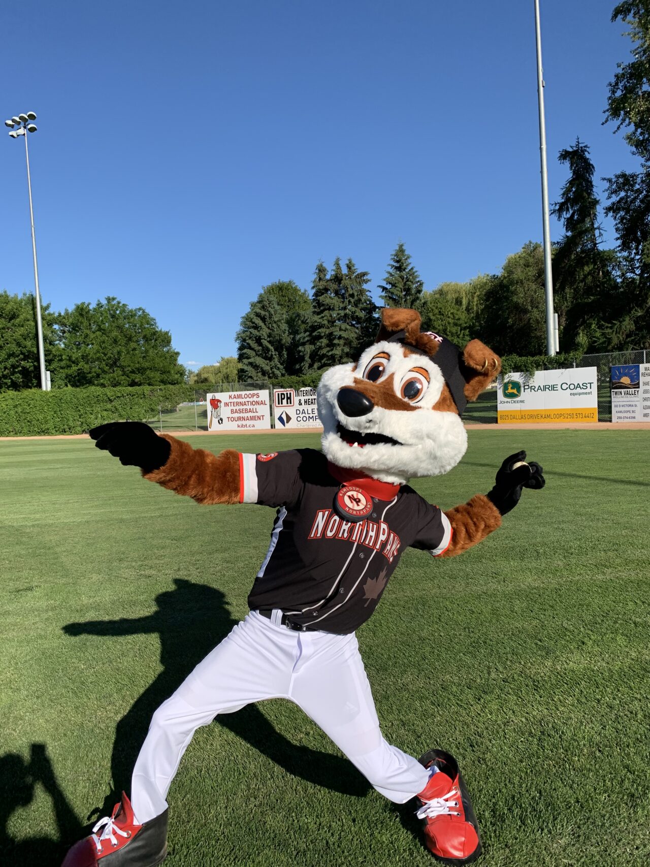 Mascot - Kamloops NorthPaws